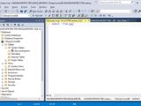 Sql Server Manager Studio Plemoves
